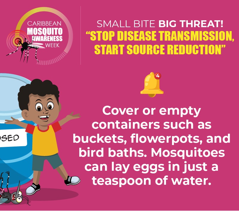 Small bite, big threat! Stop Disease Transmission, Start Source Reduction