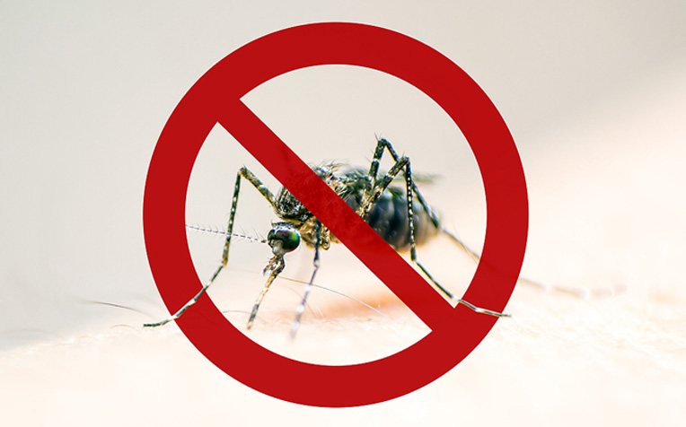 CPS Calls on Populace to Keep Mosquitoes from Breeding by Clearing ...
