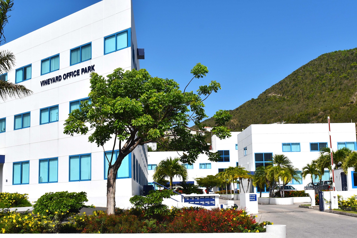 Income Tax Declaration